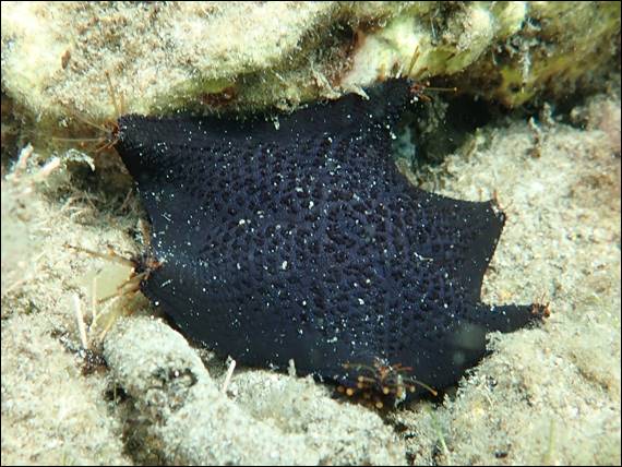 Was it really that long ago… – Sandbagged